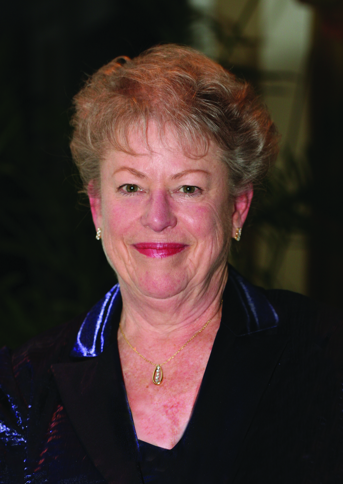 Mary E. Graner Capital Asset Endowment Fund - Hospice & Community Care