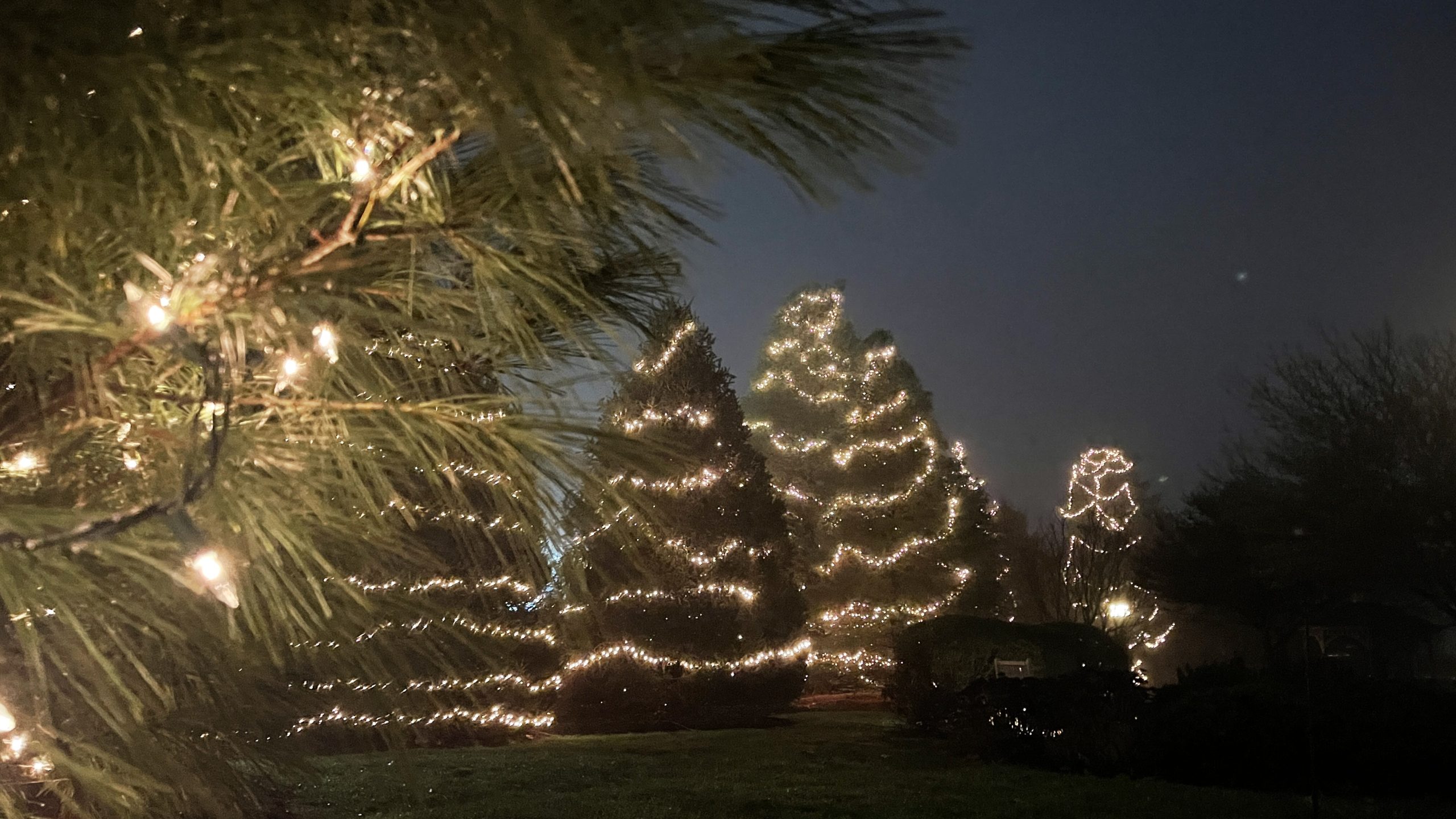 Light Up a Life - Lancaster 2023 - Hospice & Community Care