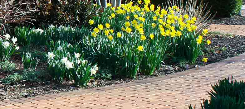 Path of Remembrance Brick Dedication - Hospice & Community Care